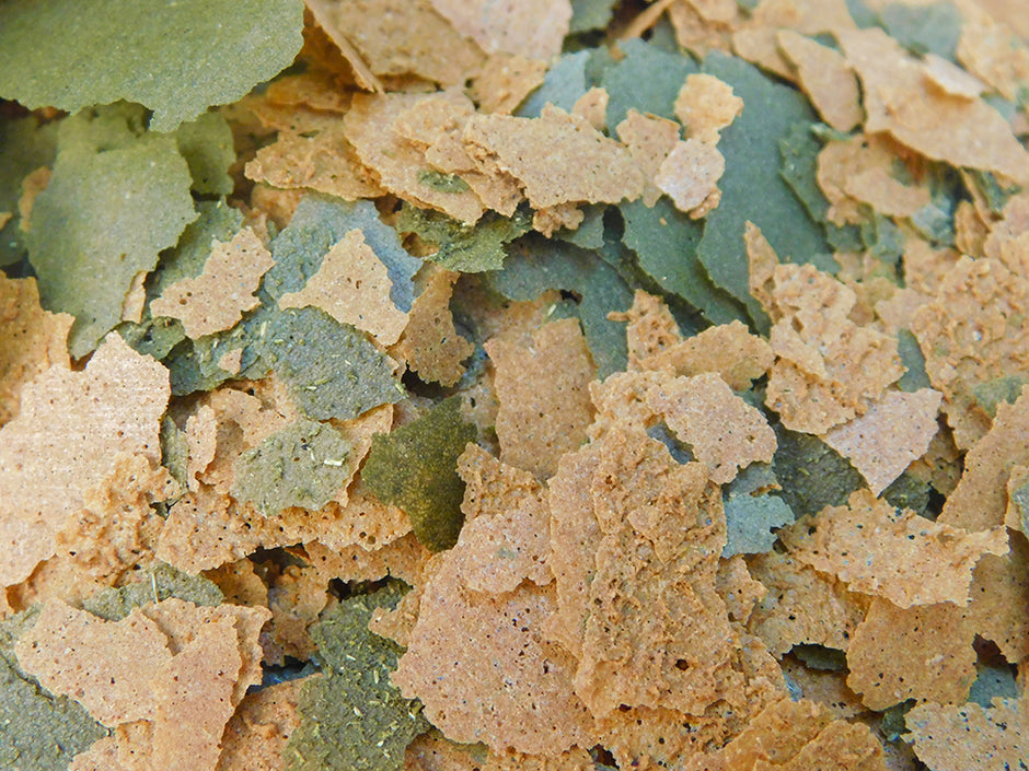 Fish Food – RSB AQUATICS